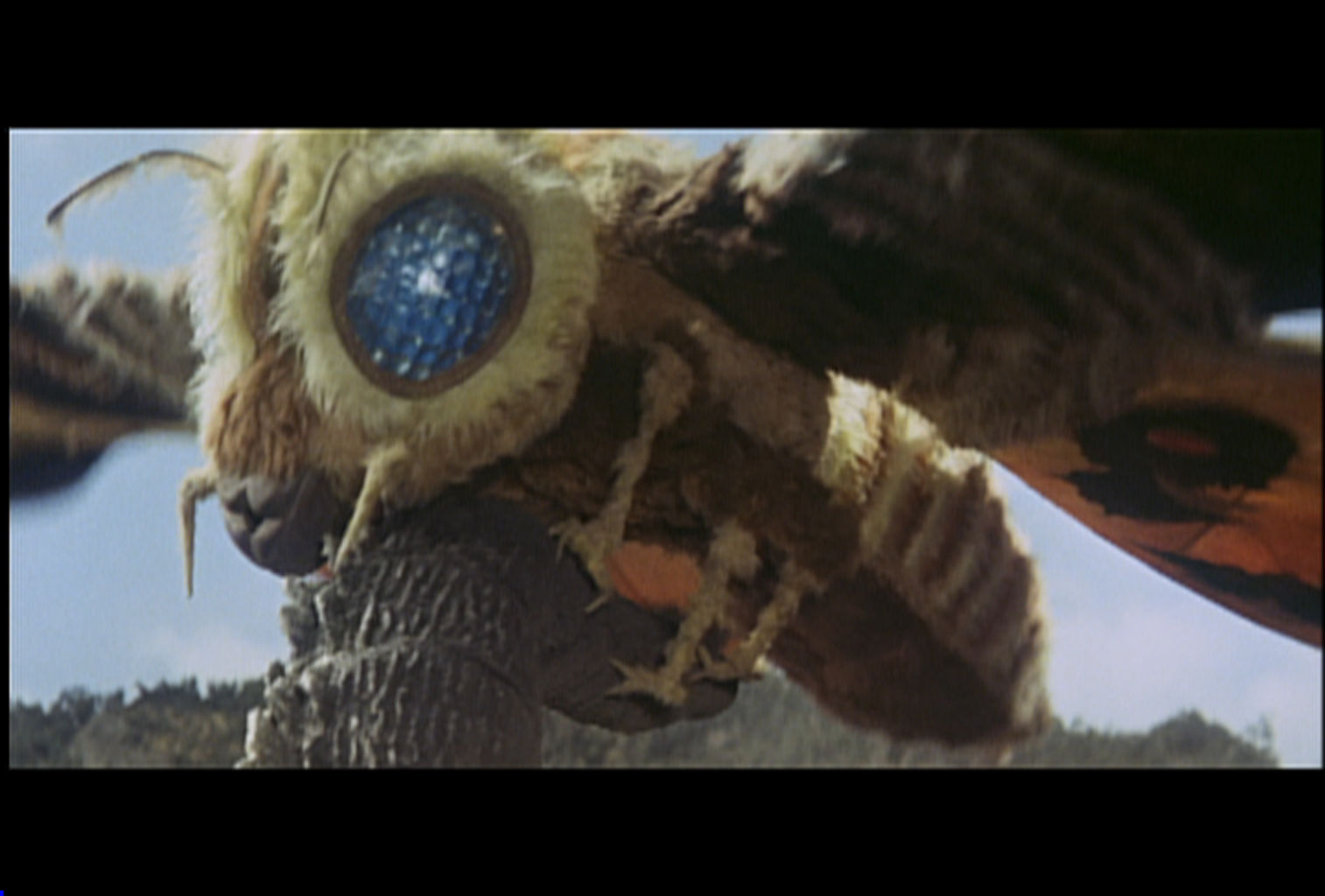 Mothra Godzilla